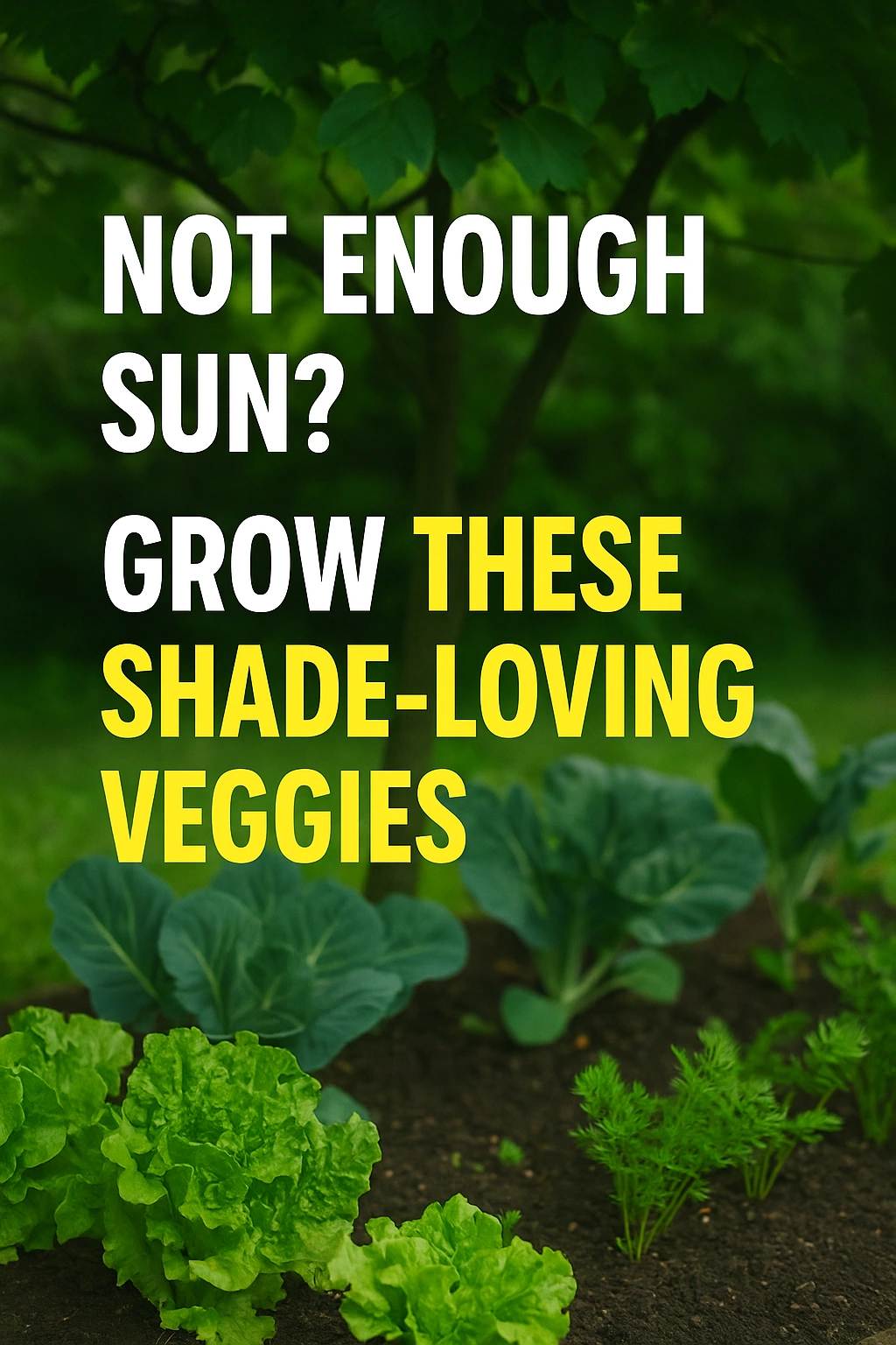 Not Enough Sun? Grow These Shade-Loving Veggies - How To Grow Plant