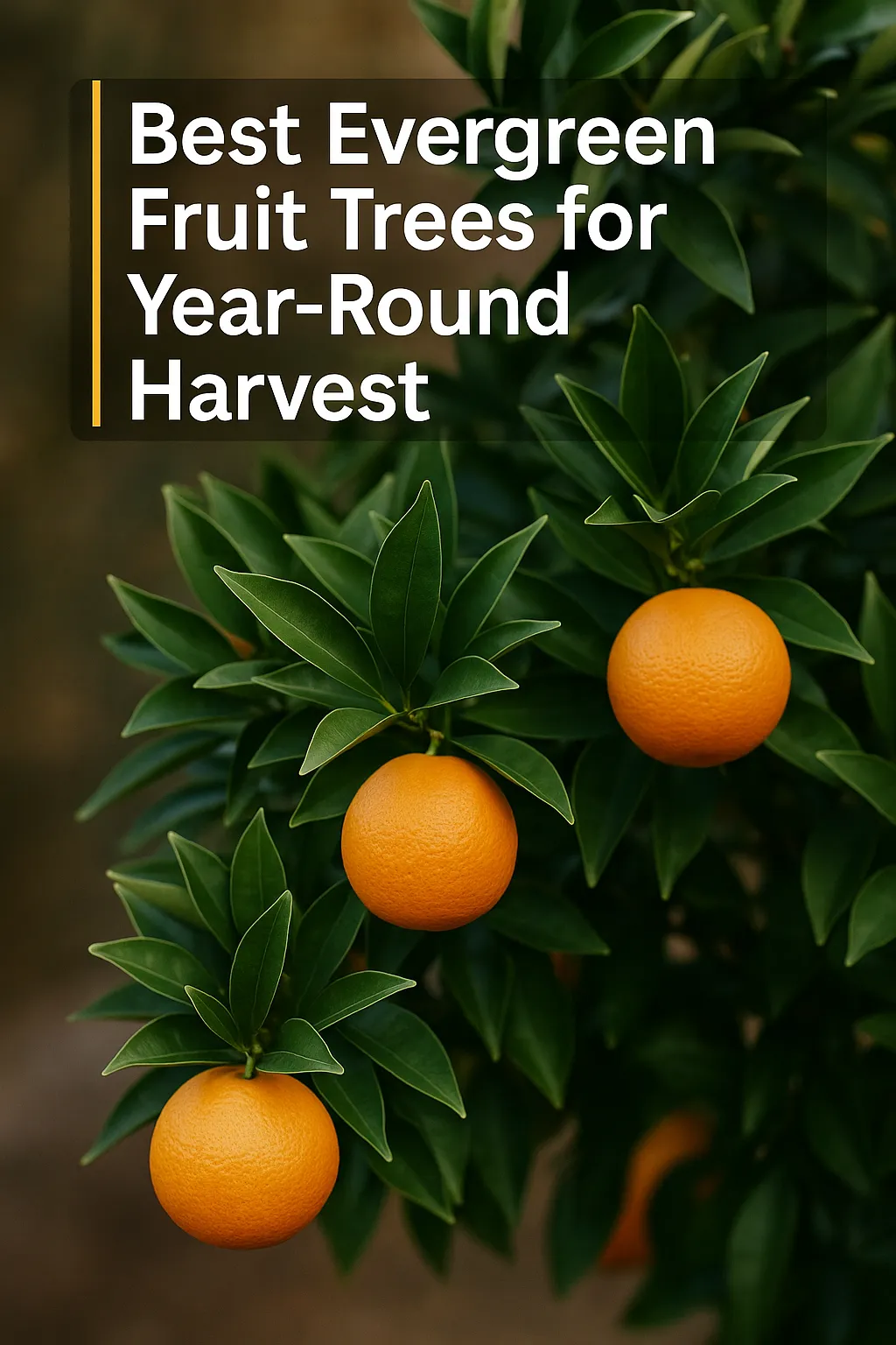 Best Evergreen Fruit Trees for Year-Round Harvest - How To Grow Plant